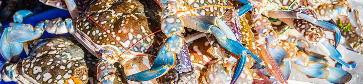 Fresh crustaceans – Le Petit Depot